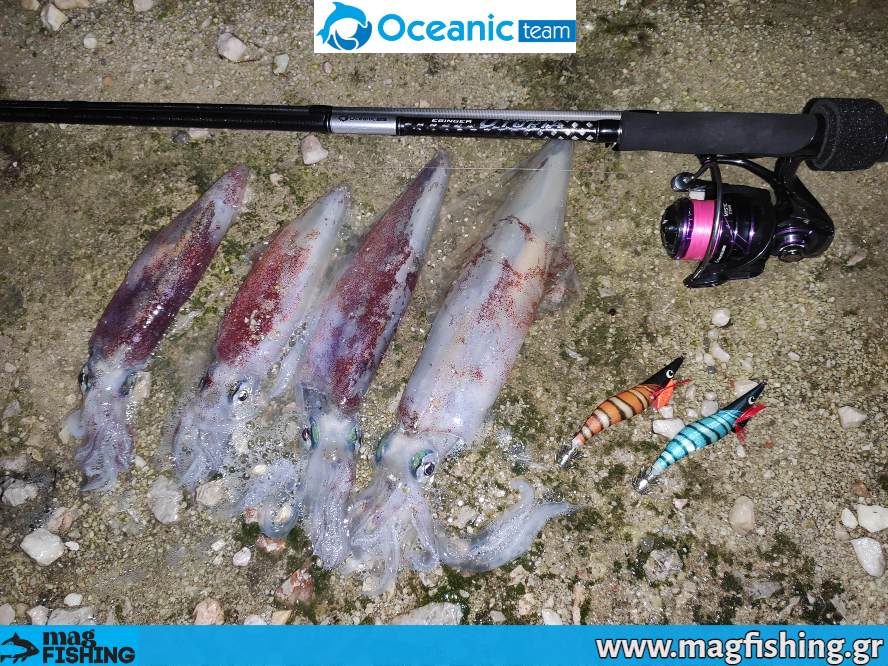 Νέα σειρά καλαμαριέρων Egido Nemo από την Oceanic Τeam-Καλαμαριέρες σαν γαρίδες, σε 5 ...